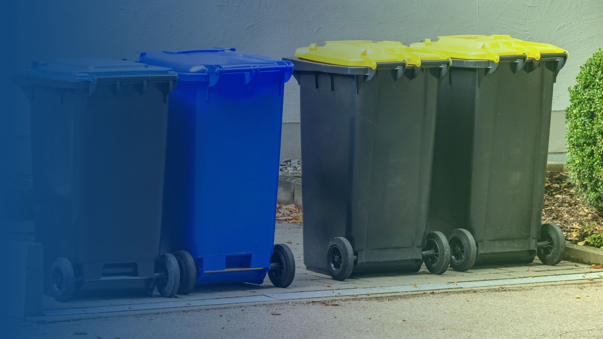 Ally Waste vs. Trash Butler: What You Need To Know - Trash Butler