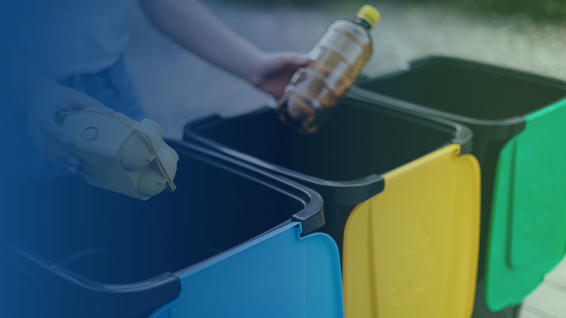 Best Garbage Disposal Solutions for Apartments - Trash Butler