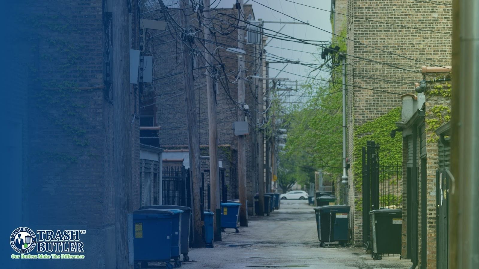 Apartment Dumpster Rules and Ensure Compliance - Trash Butler